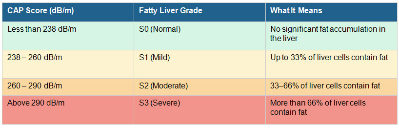 What Does My Fibroscan Score Mean?